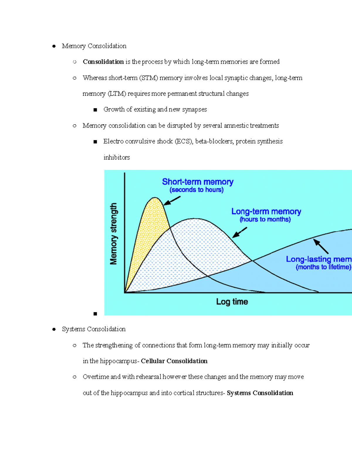 Memory Consolidation - Studocu