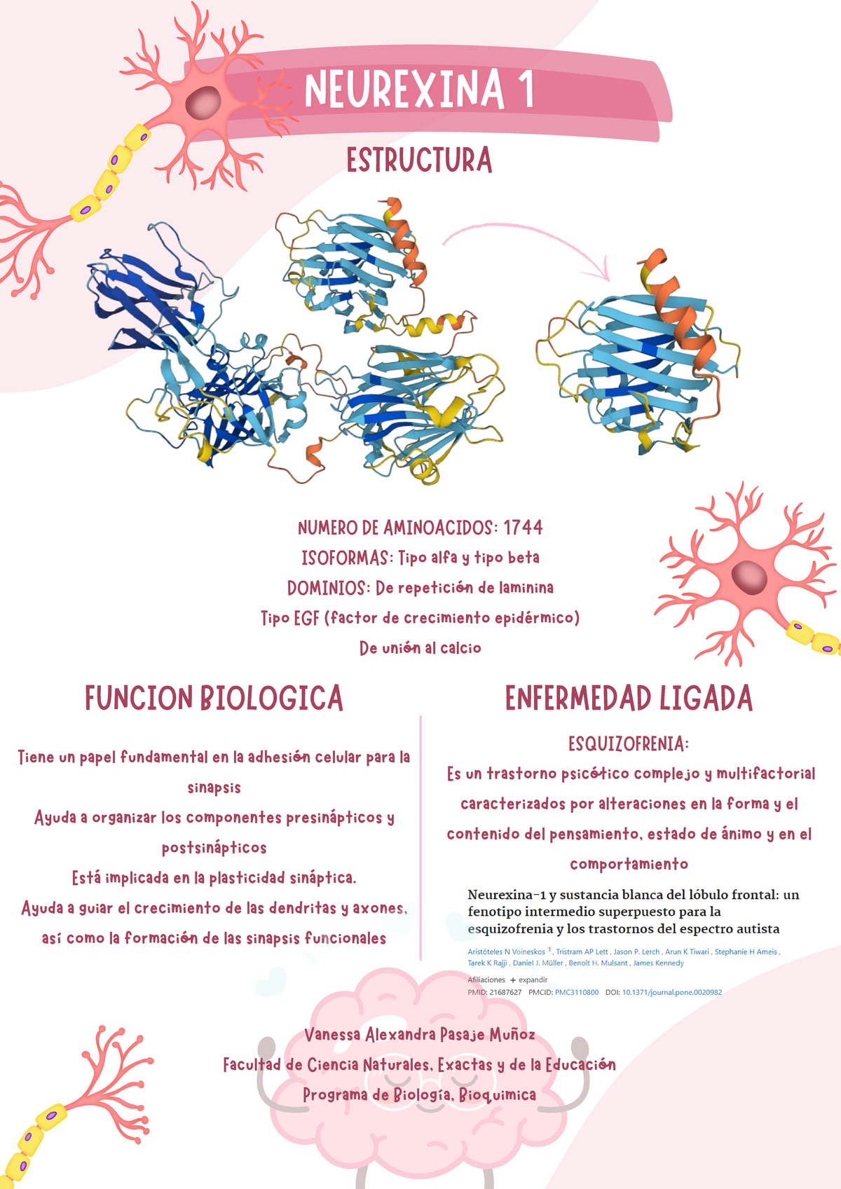 Poster Proteínas - Tiene un papel fundamental en la adhesión celular ...