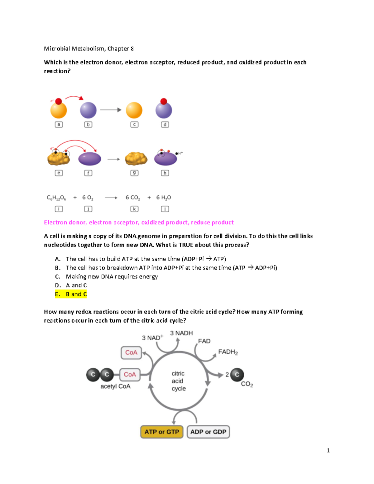 Chp 8 metabolism worksheet - Microbial Metabolism, Chapter 8 Which is ...