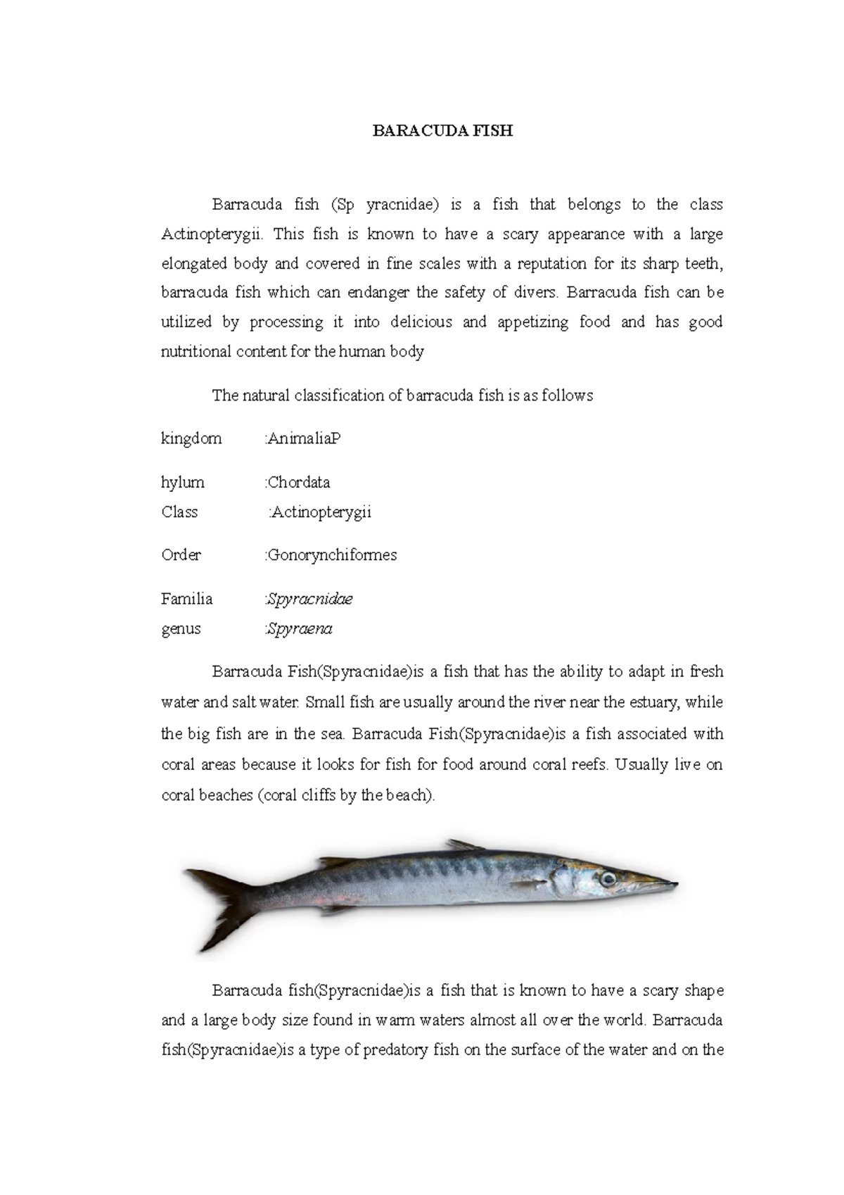 Baracuda Fish (Fisheries Biology) - BARACUDA FISH Barracuda fish (Sp ...
