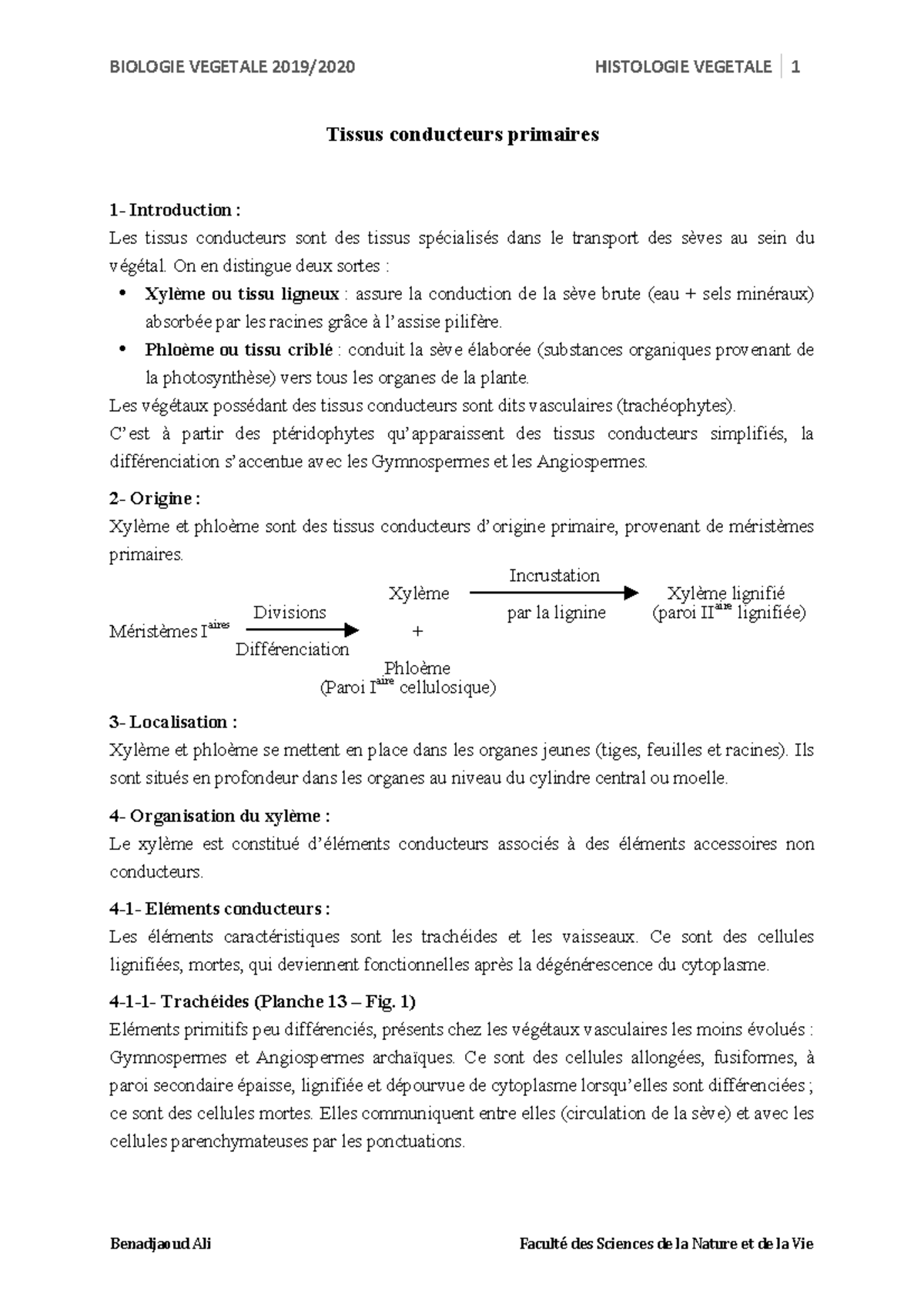 6- Tissus conducteurs primaires et secondaires - BIOLOGIE VEGETALE 2019 ...