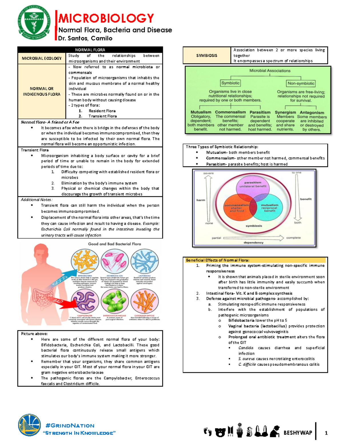Microbiology - Normal Flora, Bact and Disease - Normal Flora, Bacteria ...