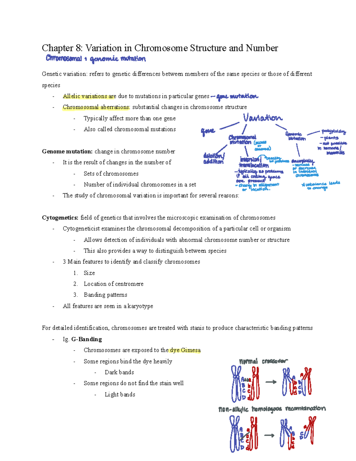 Chapter 8 Genetics Notes - Chapter 8: Variation in Chromosome Structure ...