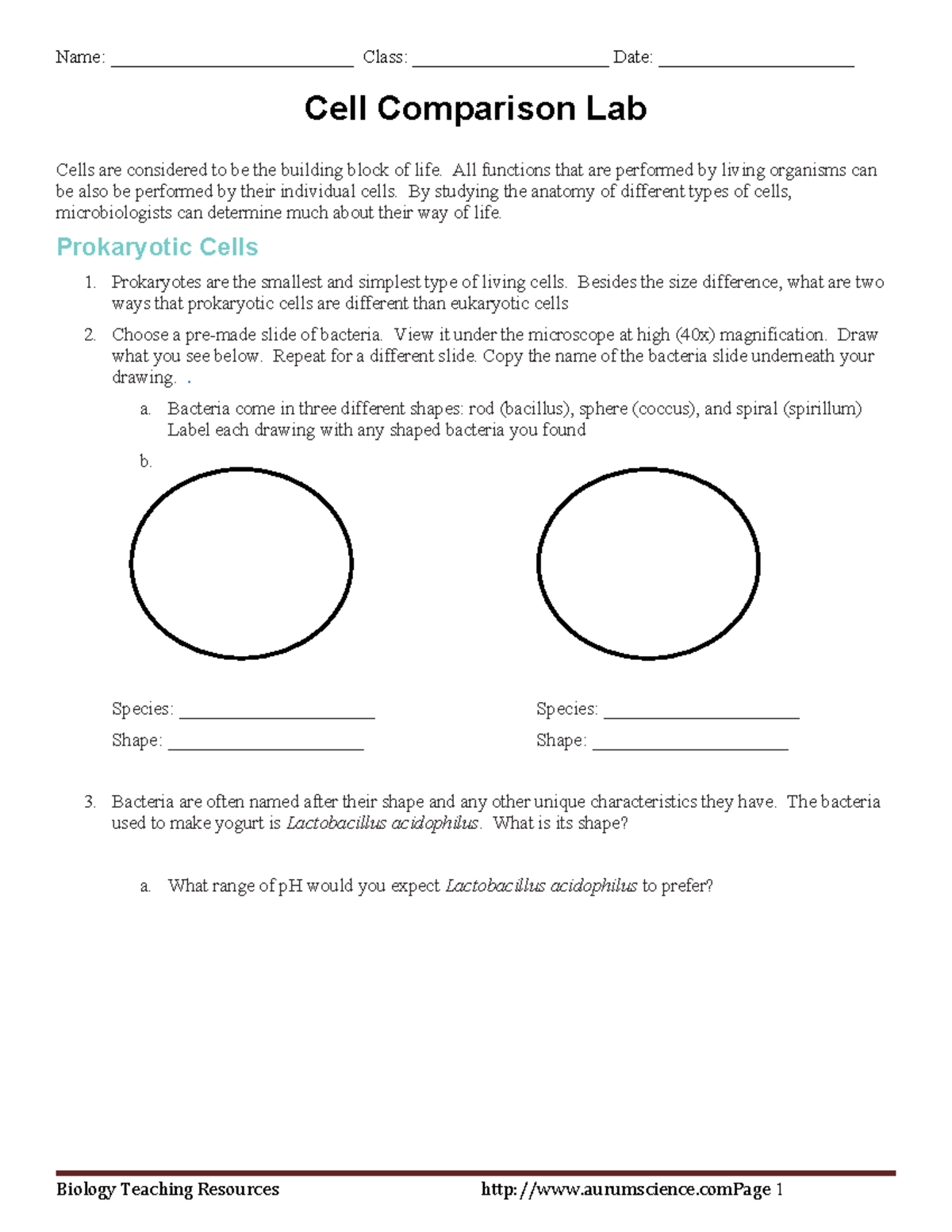 Cell COMparison lab - Name: __________________________ Class ...
