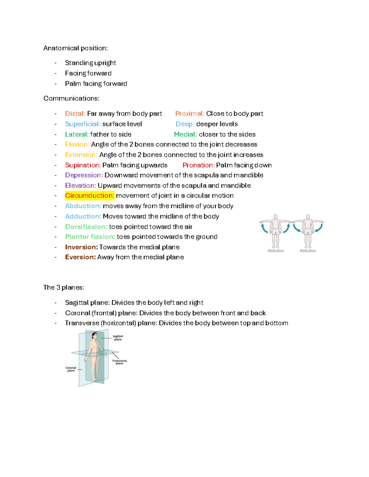 Anatomy - notes in class taken - Anatomical position: - Standing ...