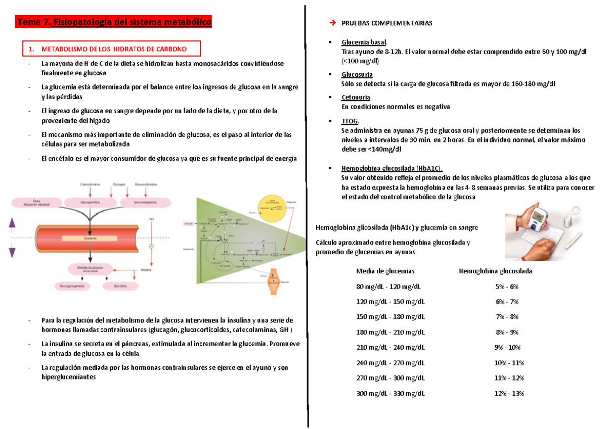 Fisiopatologia del metabolismo - Tema 7. Fisiopatología del sistema ...