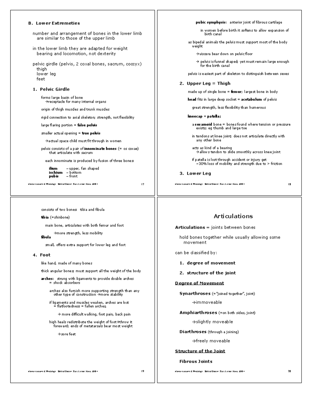 C.Skeletal System - Human Anatomy & Physiology: Skeletal System; Ziser ...