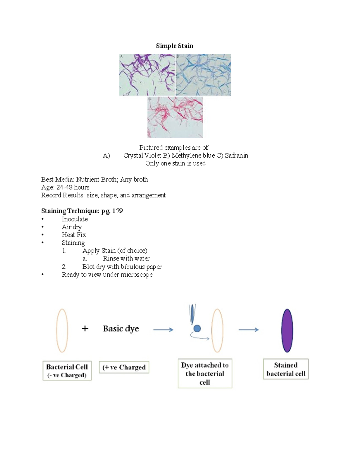 Staining techniques - Simple Stain A) Pictured examples are of Crystal ...