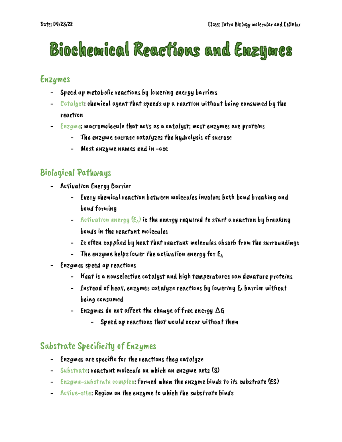 9 28 22 Biochemical Reactions and Enzymes - Google Docs - En󰁛àmeÿ Spe󰀩ā ...