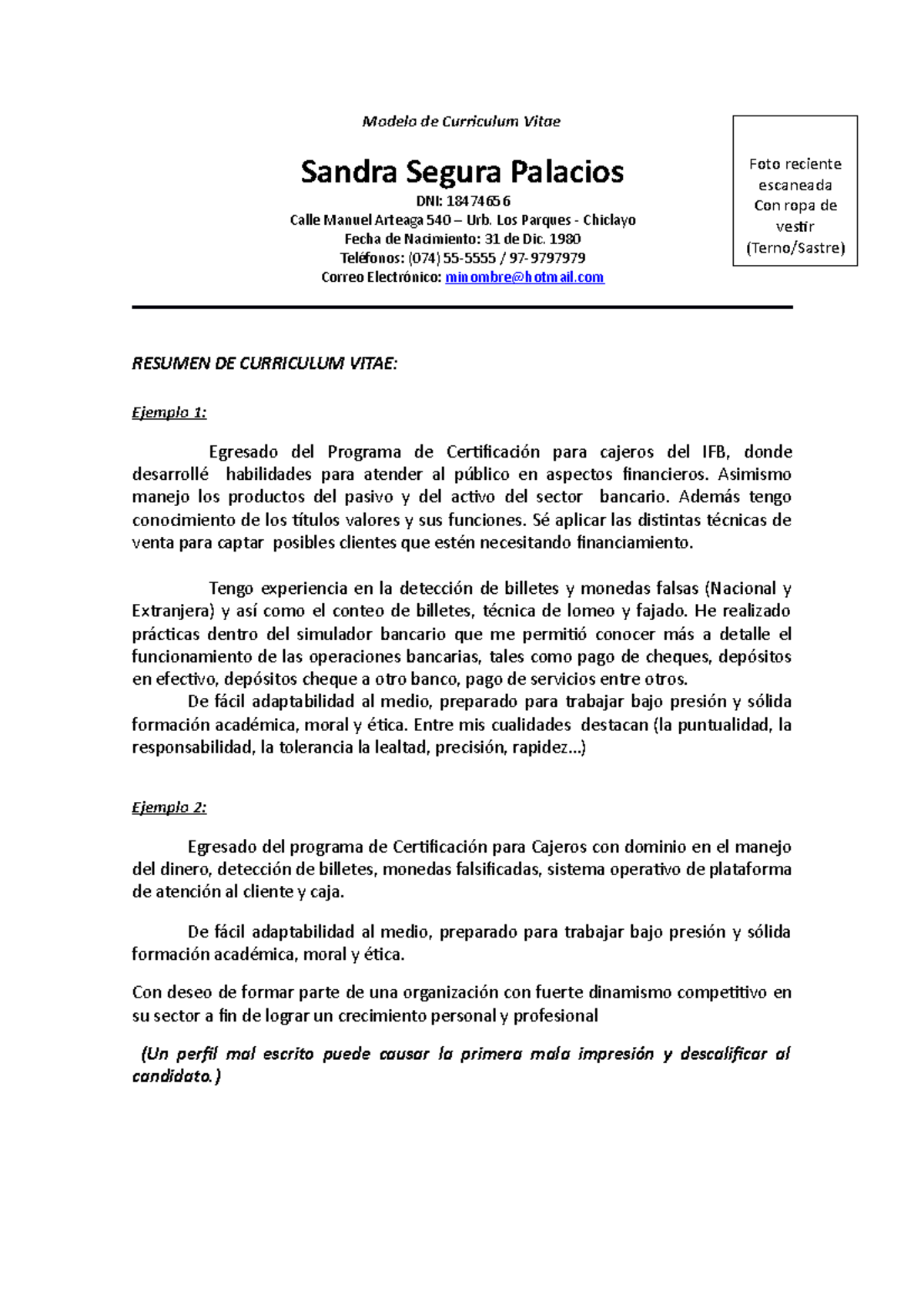 Modelo de Curriculo Vitae actualizado - Modelo de Curriculum Vitae ...