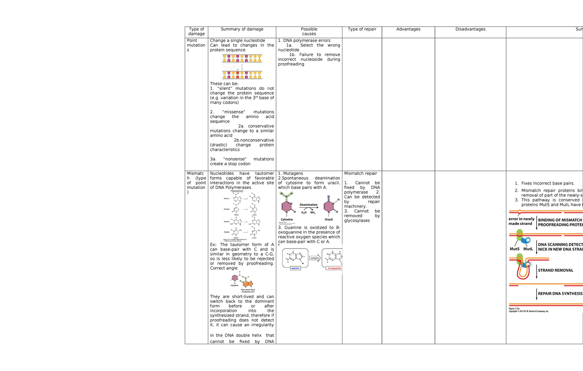 Words Replication Errors and Repair - Type of damage Summary of damage ...