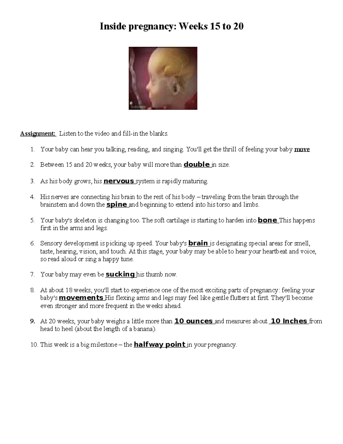 Inside pregnancy 15-20 weeks worksheet - Inside pregnancy: Weeks 15 to ...