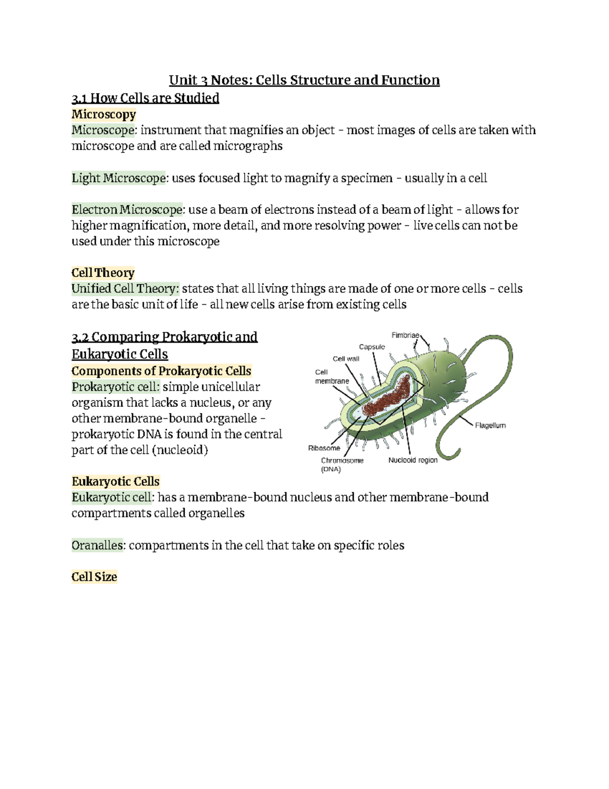 Bio Unit 3 Notes - Professor Mindy Smith. Structure of cells ...