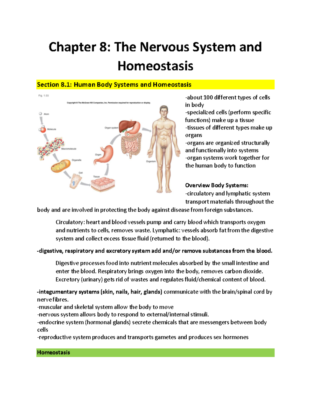 Unit 4 summary and video bundle - Chapter 8: The Nervous System and ...