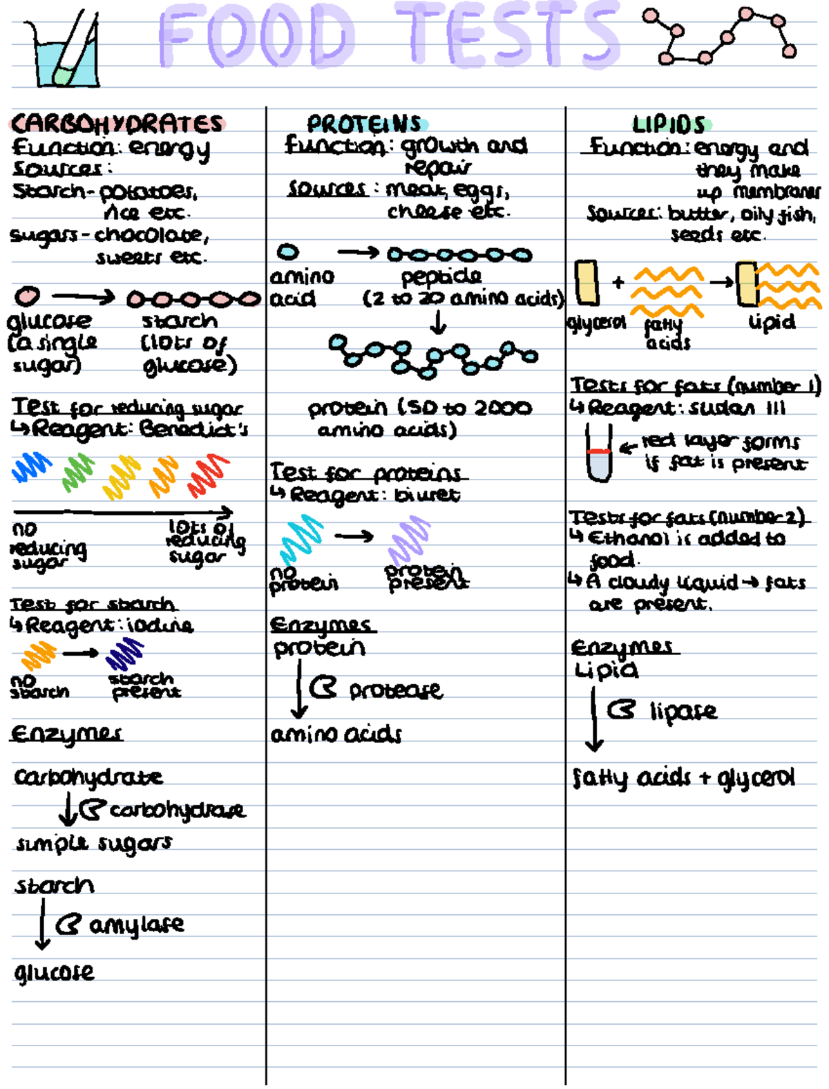 Food tests poster - asdada - WE FOOD TF 75 8 CARBOHYDRATES PROTEINS ...