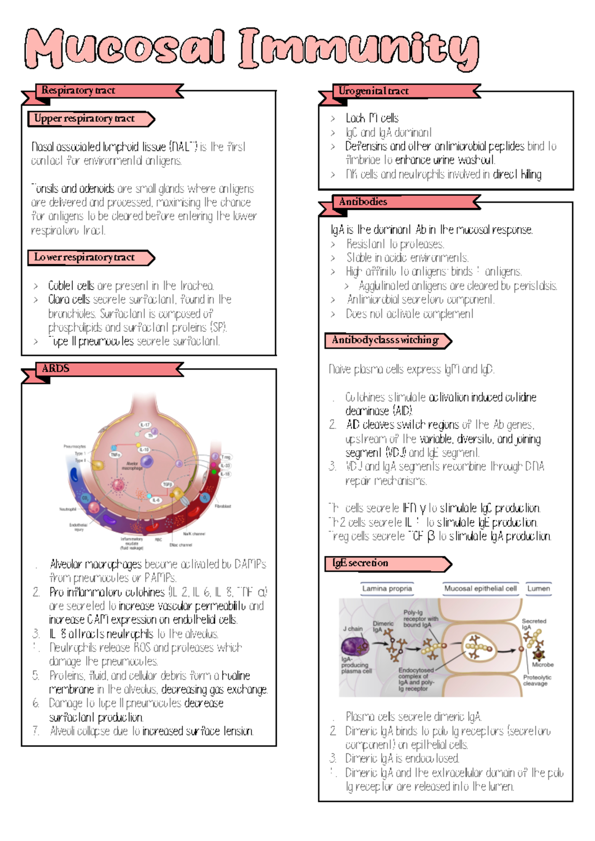 Mucosal Immunity (pt. 2) - Mucosal ImmunityMucosal Immunity Respiratory ...