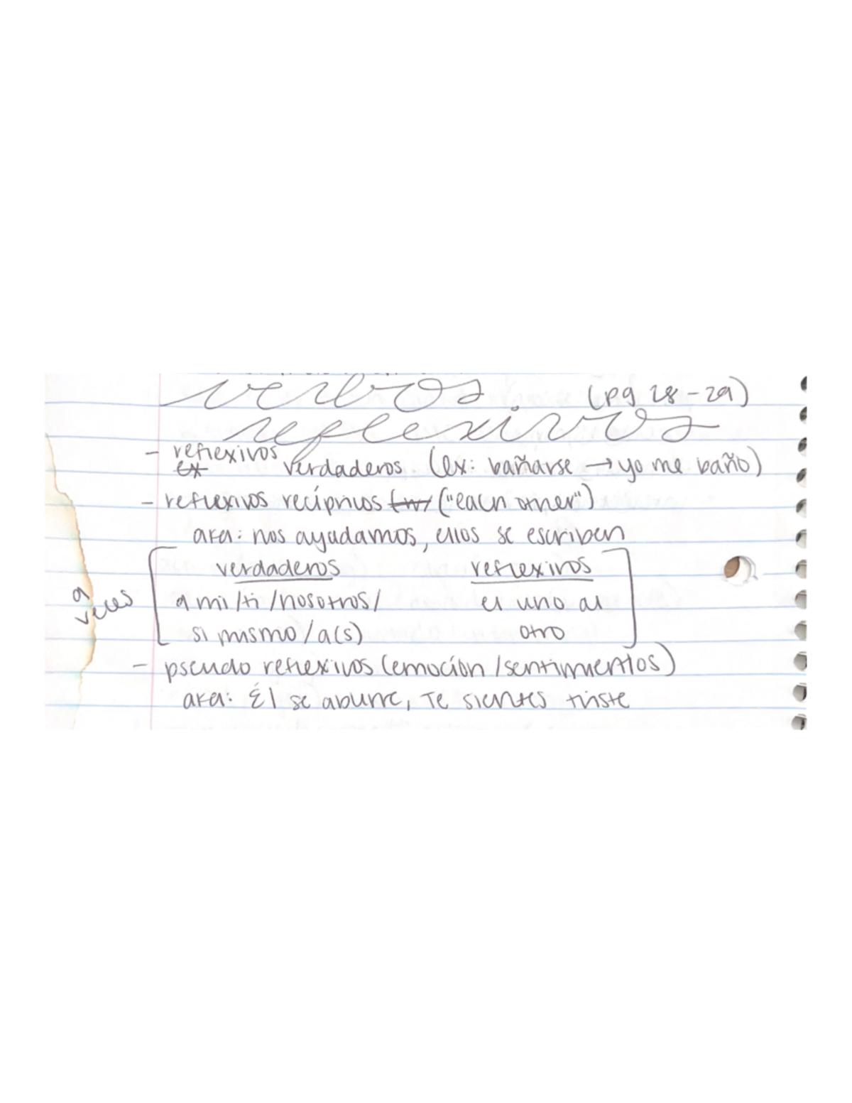 SPN2220 vocab and study guides from the entire semester - (Pg 28-29 ...