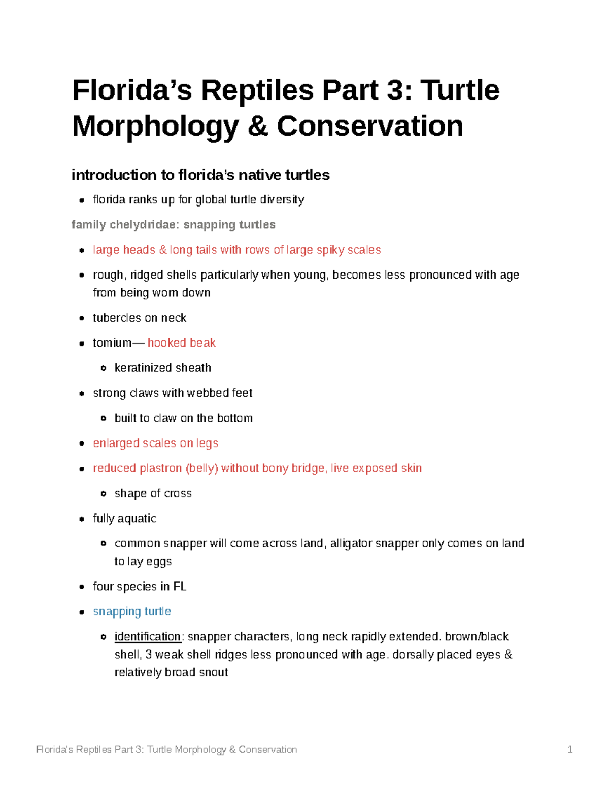 WIS3042 Reptiles 3 - Florida's native turtles. Snapping turtles, mud ...