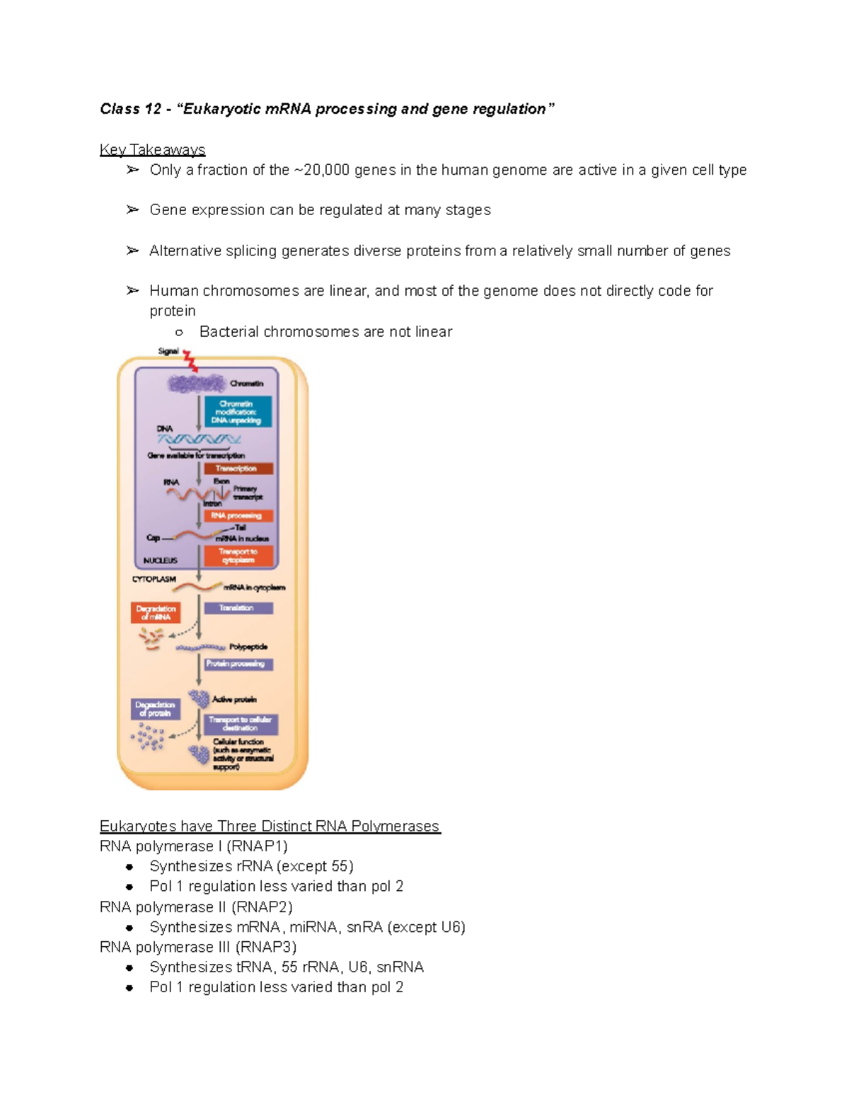 Lecture #12 - Class 12 - “Eukaryotic mRNA processing and gene ...
