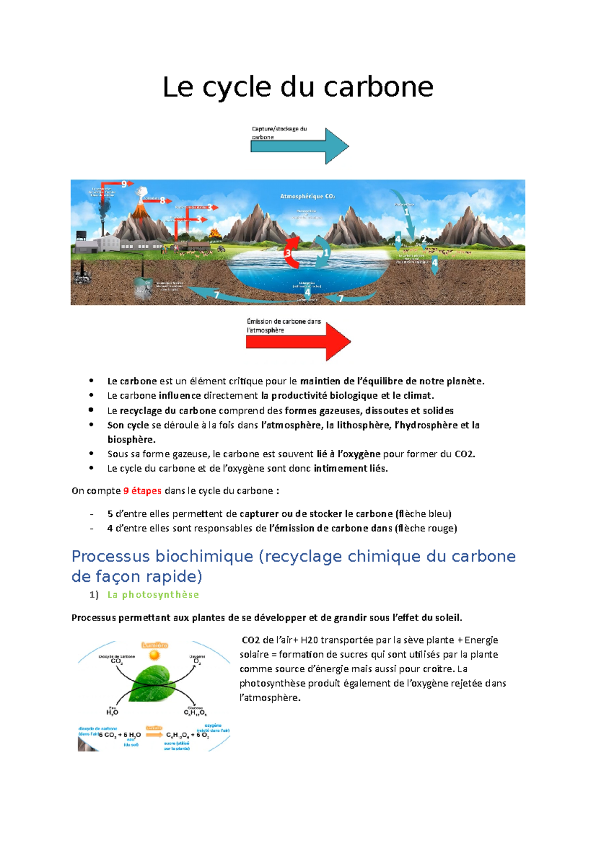 1- Le cycle du carbonne - mineure sciences de la vie - Le cycle du ...