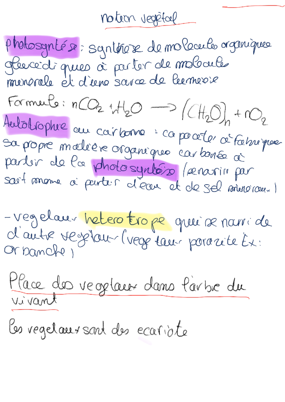 Cours 1 introduction général - noteon vegetal 2 synthese de mo Pecules ...
