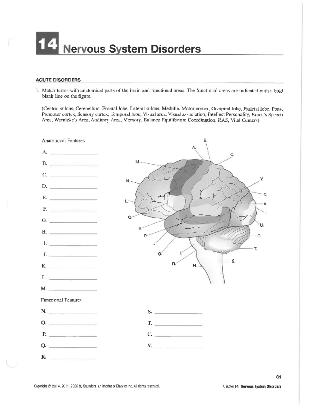 Nervous System Disorders - Match terms with anatomical parts of the ...