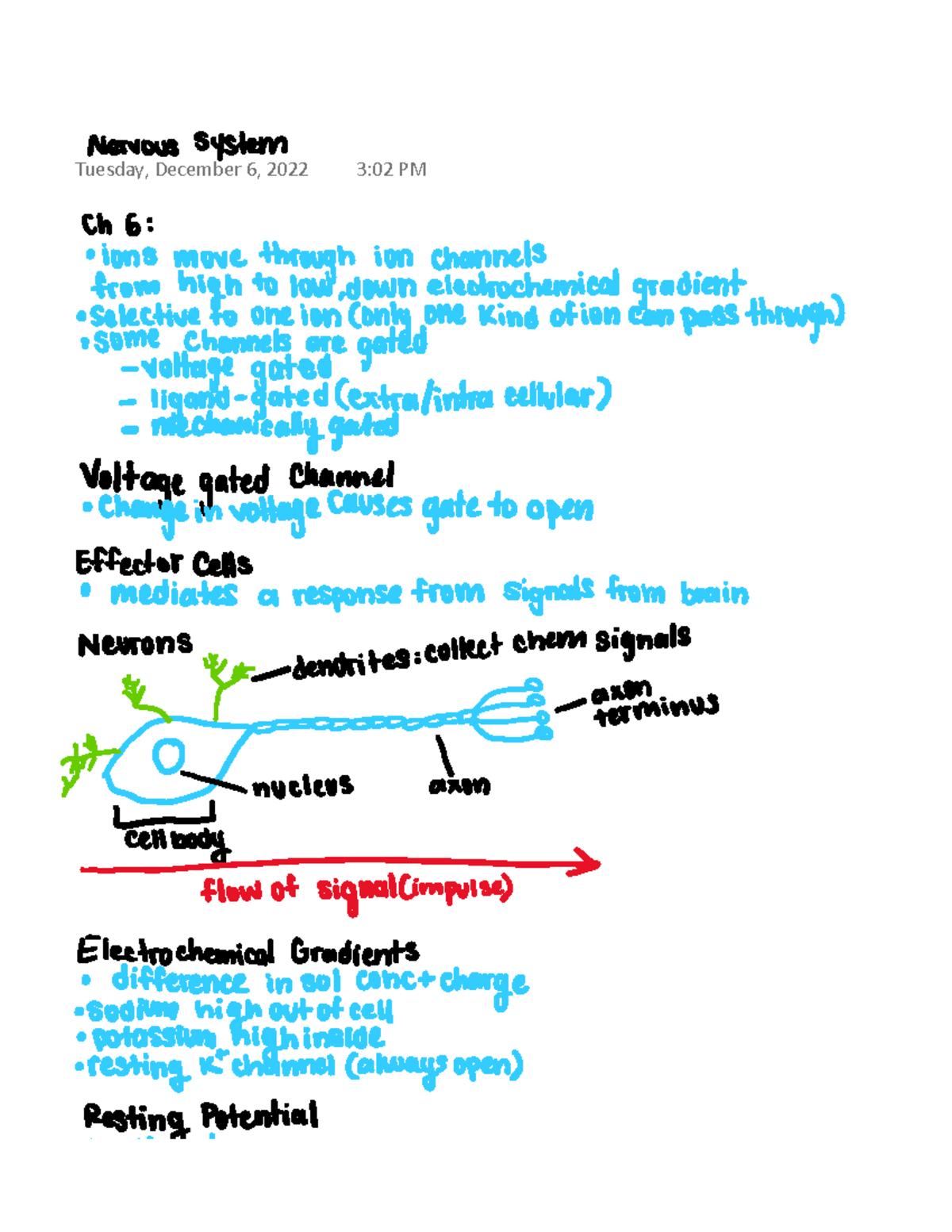 Lec-nervsys - Resting vs action potential, neurons, refractory state ...