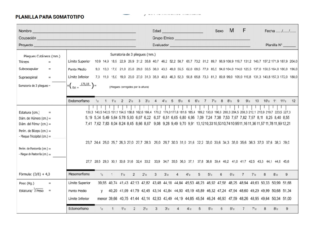 Somatotipo-planilla - Taller de composición - Studocu