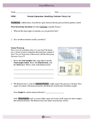 Nnshin SBI4U Unit 1 Lesson 3 Carbohydrates Worksheet - - Studocu