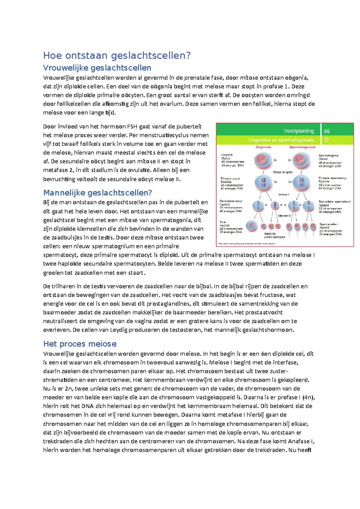 Vorming geslachtscellen en meiose - Hoe ontstaan geslachtscellen? Vrouwelijke geslachtscellen ...
