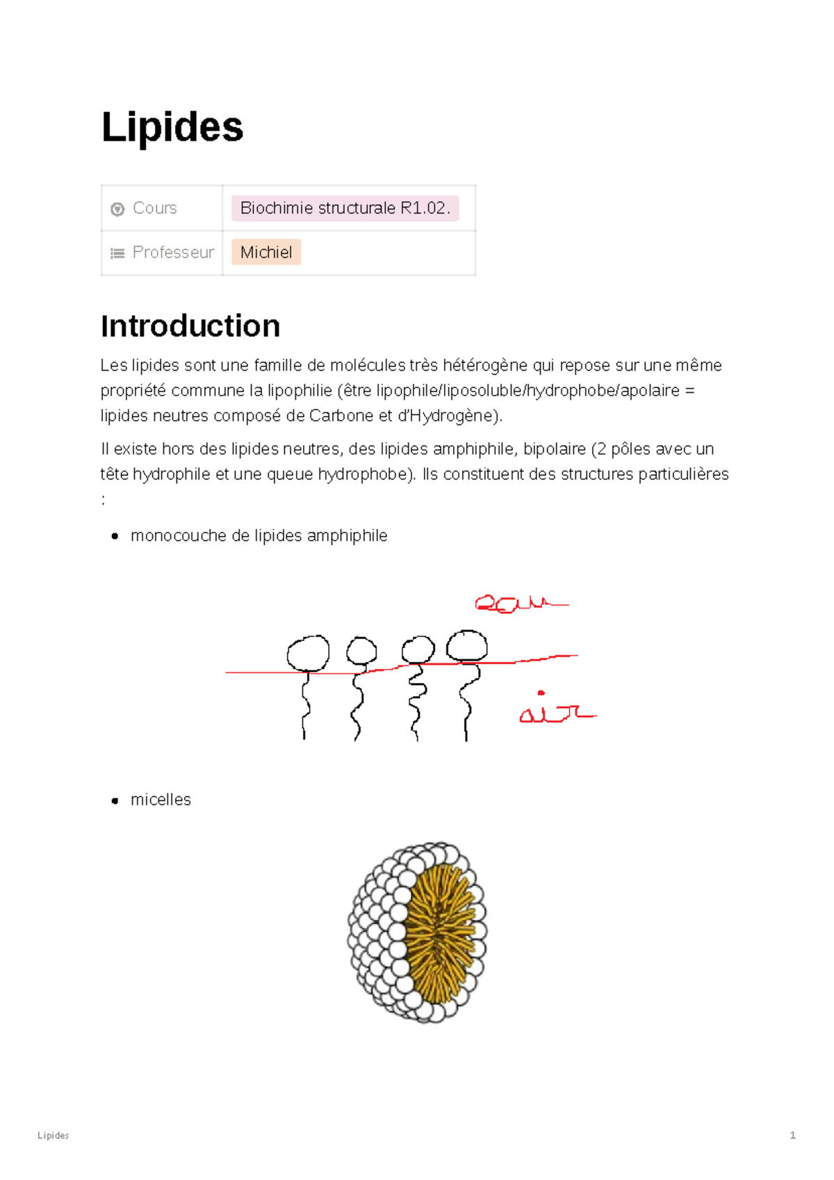 Lipides + TD - BUT GB BMB1 - Lipides Cours Biochimie structurale R1 ...