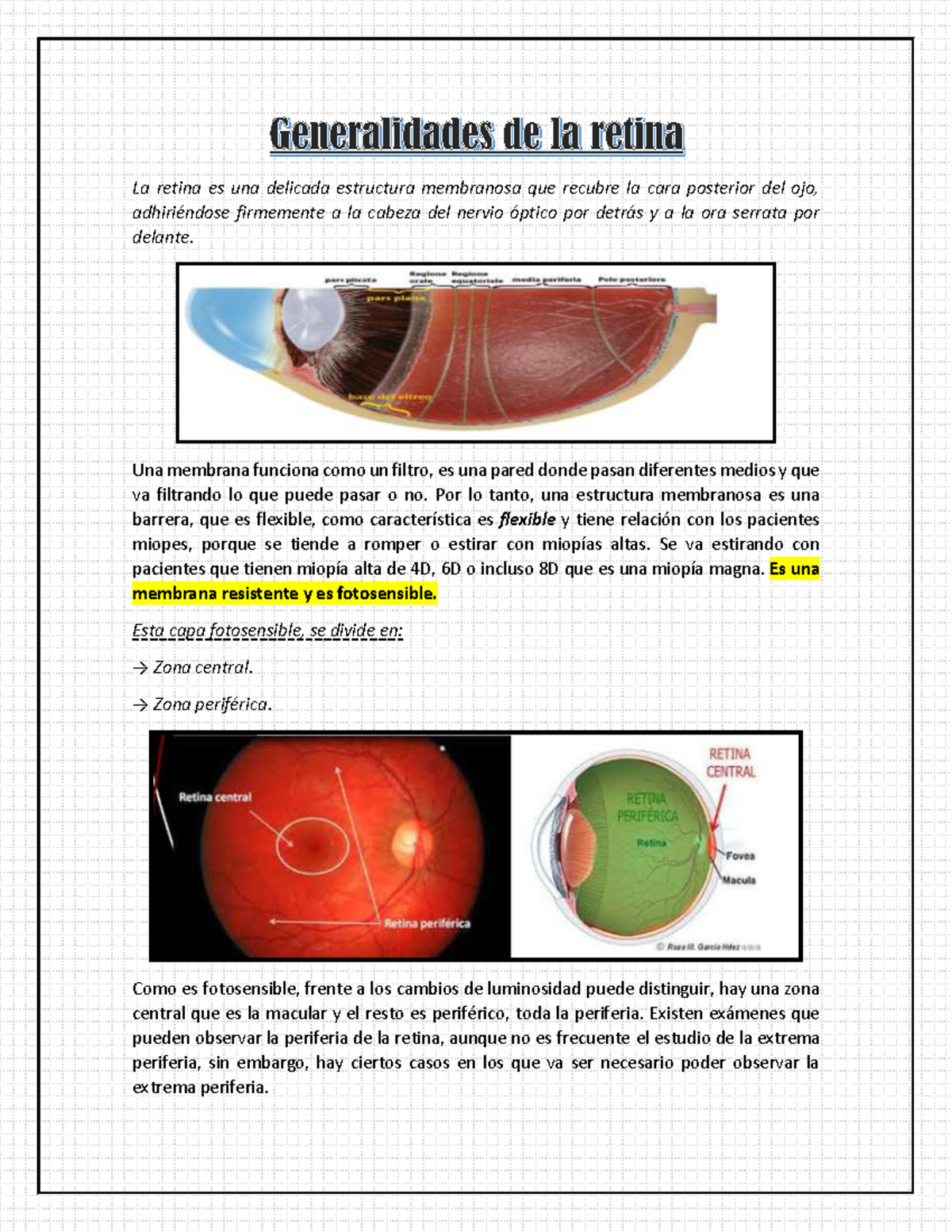 Generalidades de la retina - La retina es una delicada estructura ...