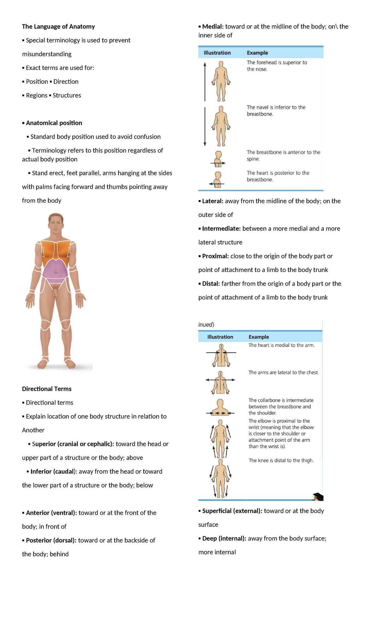 Anophy LAB - anatomy and physiology notes - The Language of Anatomy ...