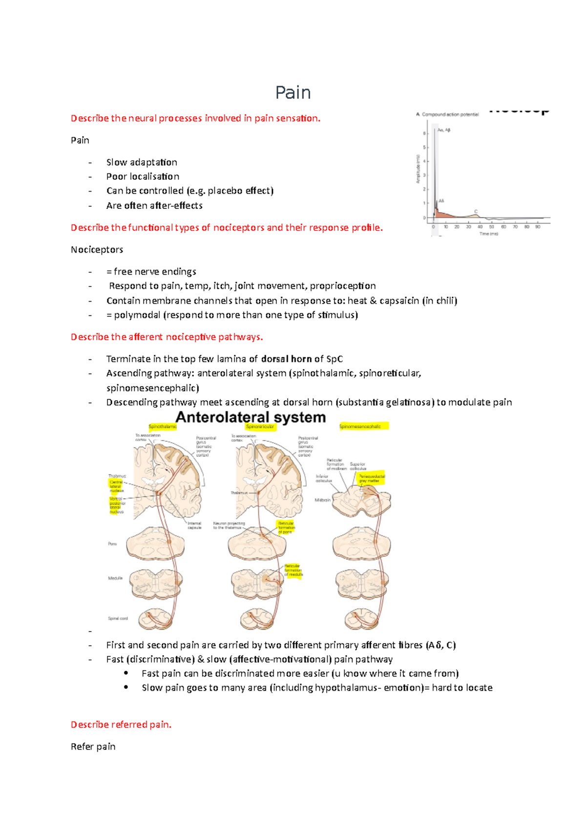 Pain - Topic Notes from a high achieving student with Chinese ...