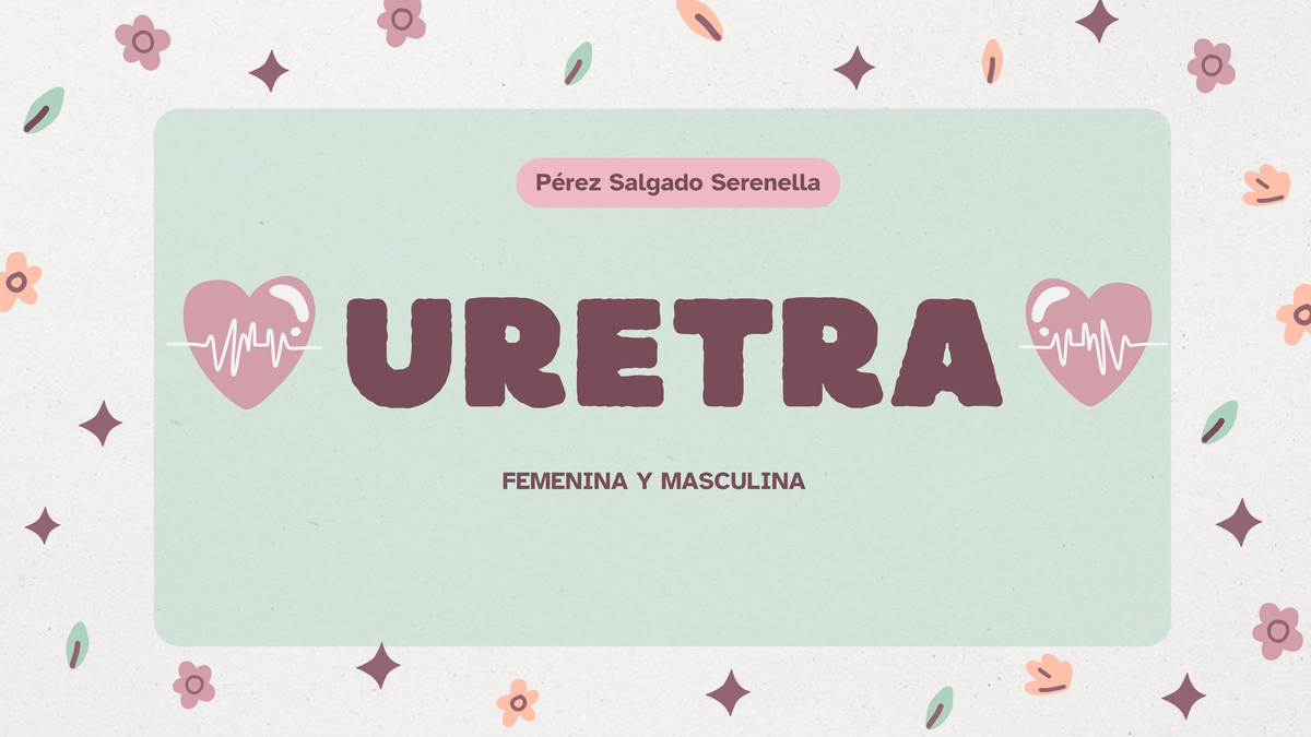Uretra - URETRA FEMENINA Y MASCULINA Pérez Salgado Serenella ...