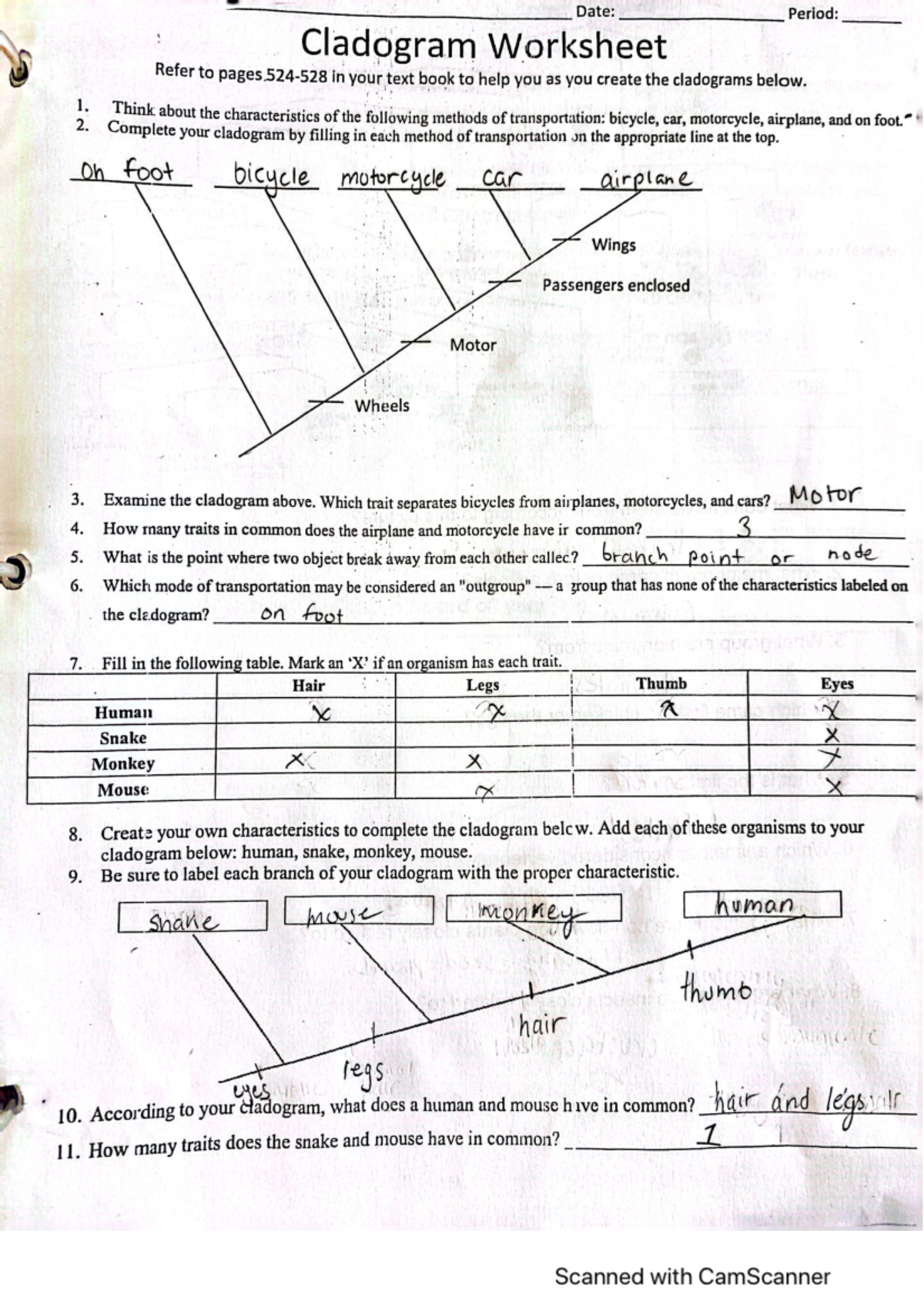 Bio Cladogram Worksheet - Studocu