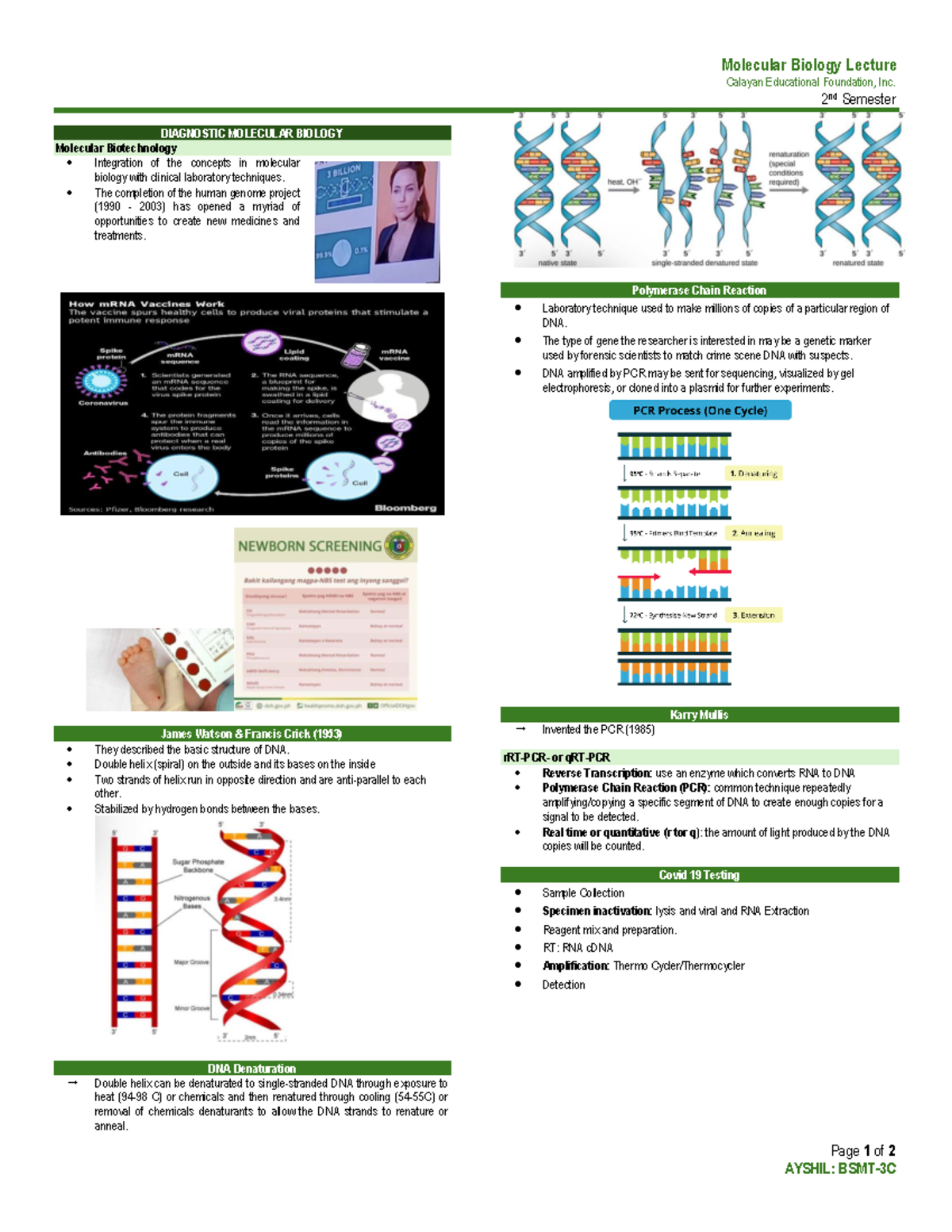 M1 lec mol bio molecular biology - Molecular Biology Lecture Calayan ...