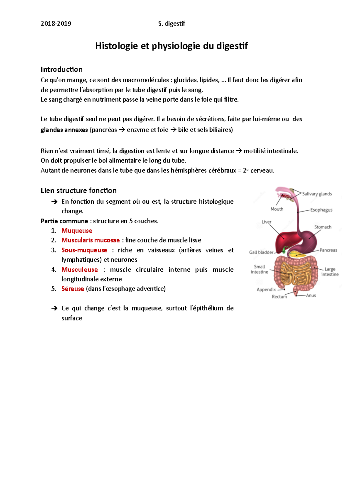 B) histo dig - Warning: TT: undefined function: 32 Histologie et physiologie du diges/f Introduc ...