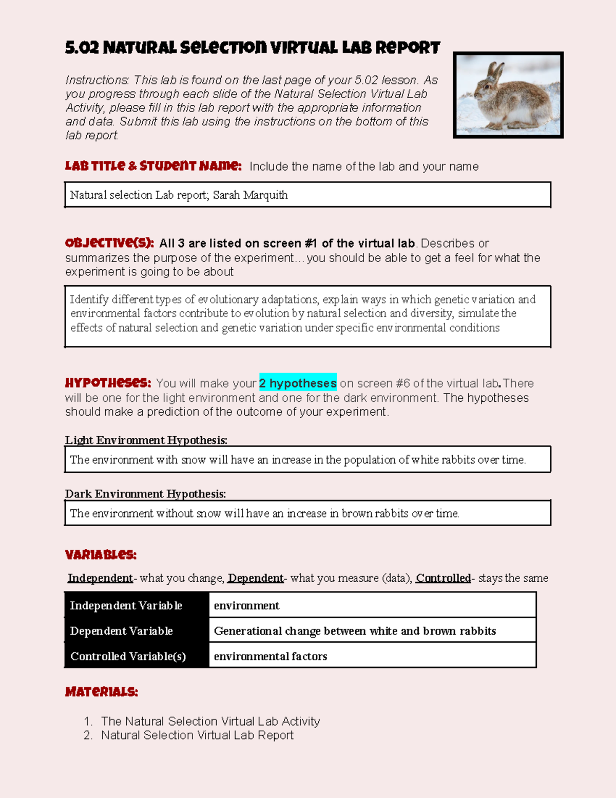 Copy of 5 02 lab report template-v23 - 5 Natural Selection Virtual Lab ...