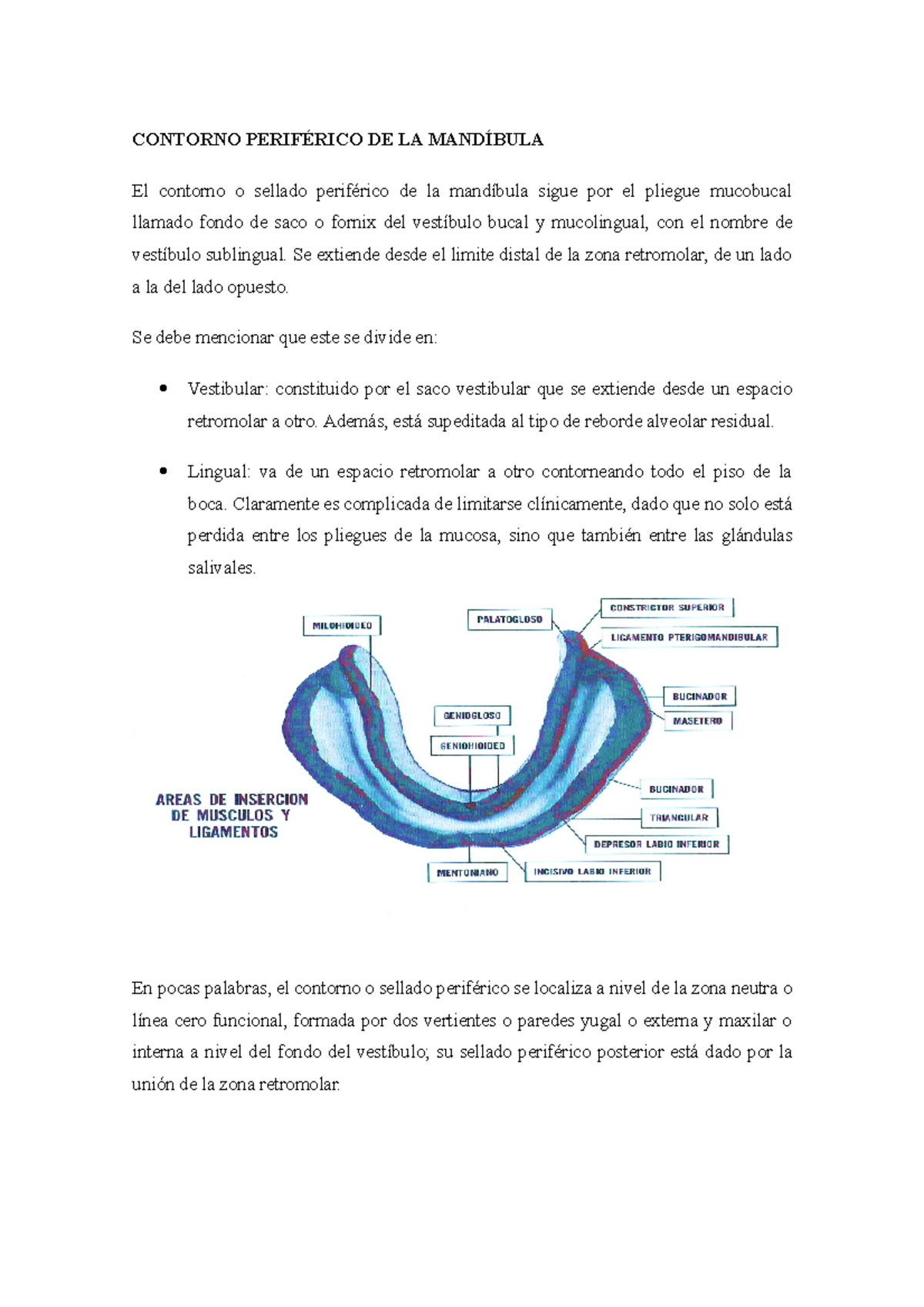 Contorno Periférico DE LA Mandíbula - CONTORNO PERIFÉRICO DE LA ...