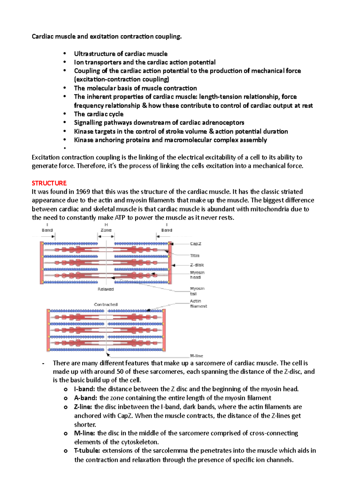Cardiac muscle and excitation contraction coupling ...