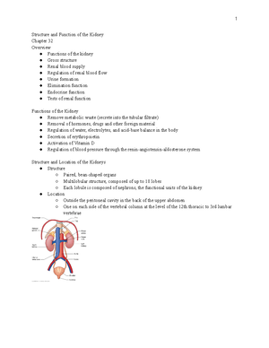 Pathophysiology Reproductive System - Structure and Function of the ...