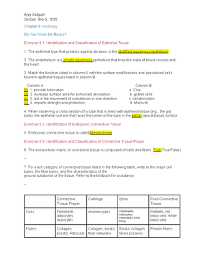 Integumentary System - Integumentary System Integument = skin Organs ...