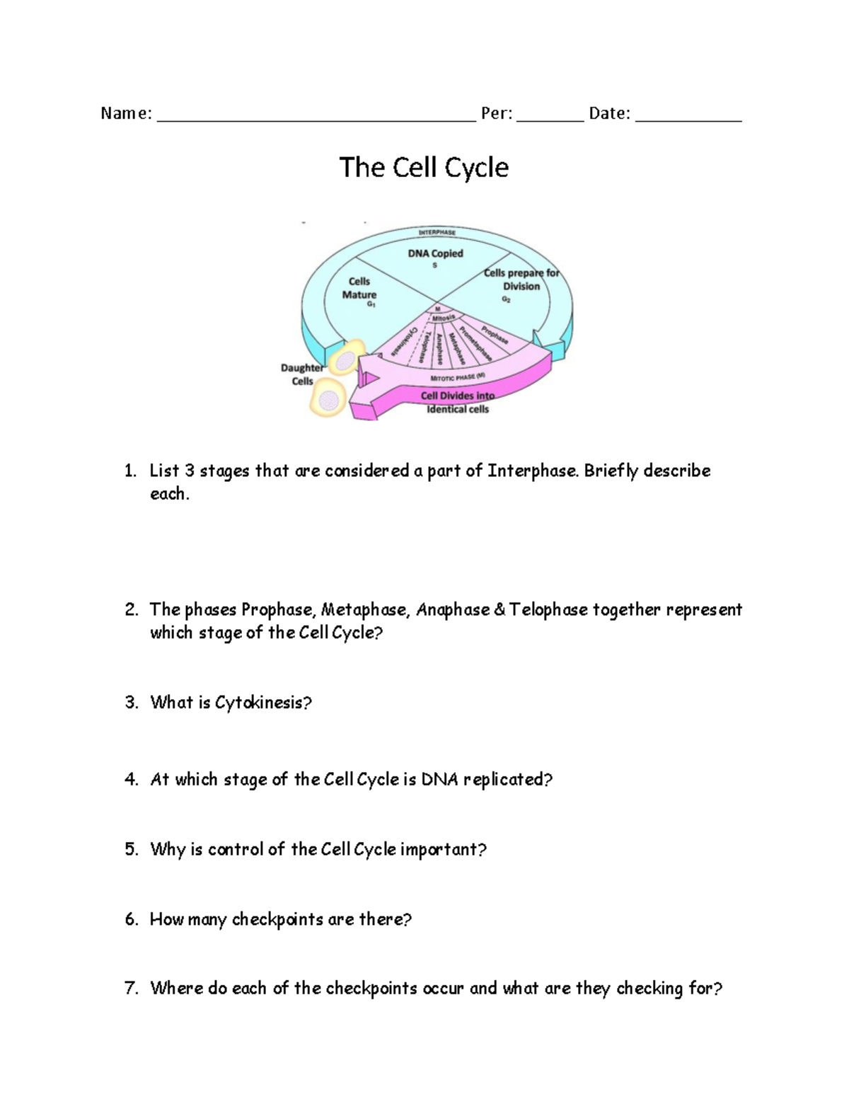 Cell Cycle Intro worksheet - Name ...