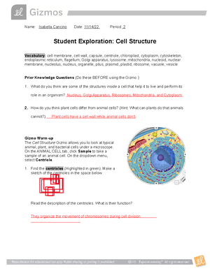 Jane jacobs the death and life Chapter 18 - Ⰰ嬀 THEDEATH AND LIFE ...