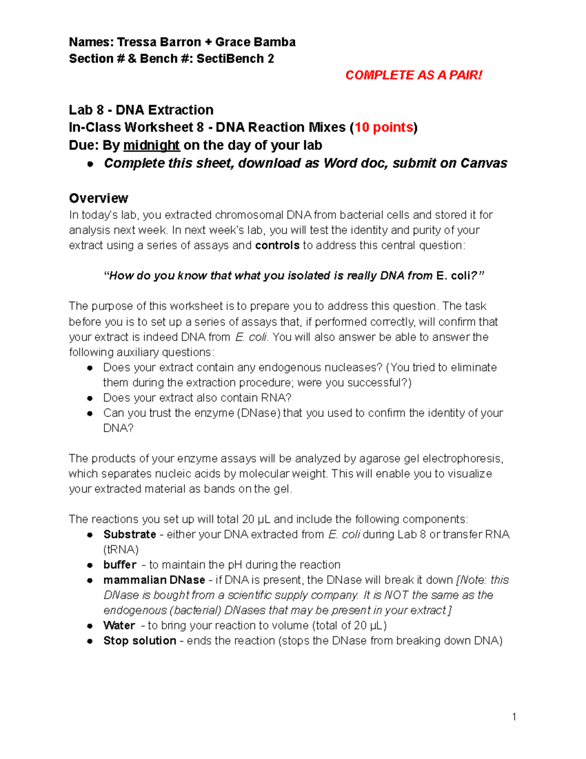 General Biology II In-Class Worksheet 8 - DNA Reaction Mixes - Names ...