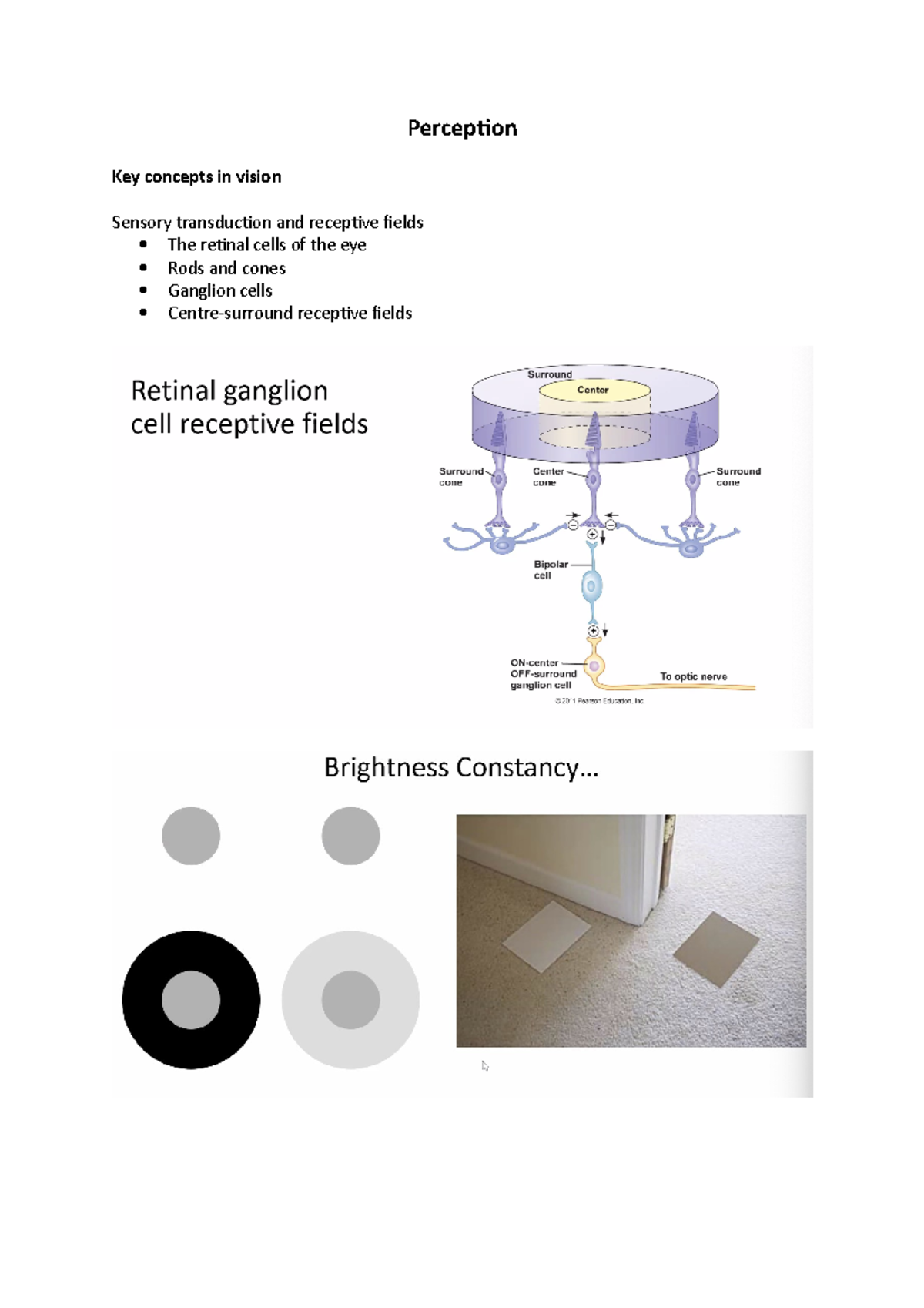 Week 3 - Perception - HD notes - Perception Key concepts in vision ...
