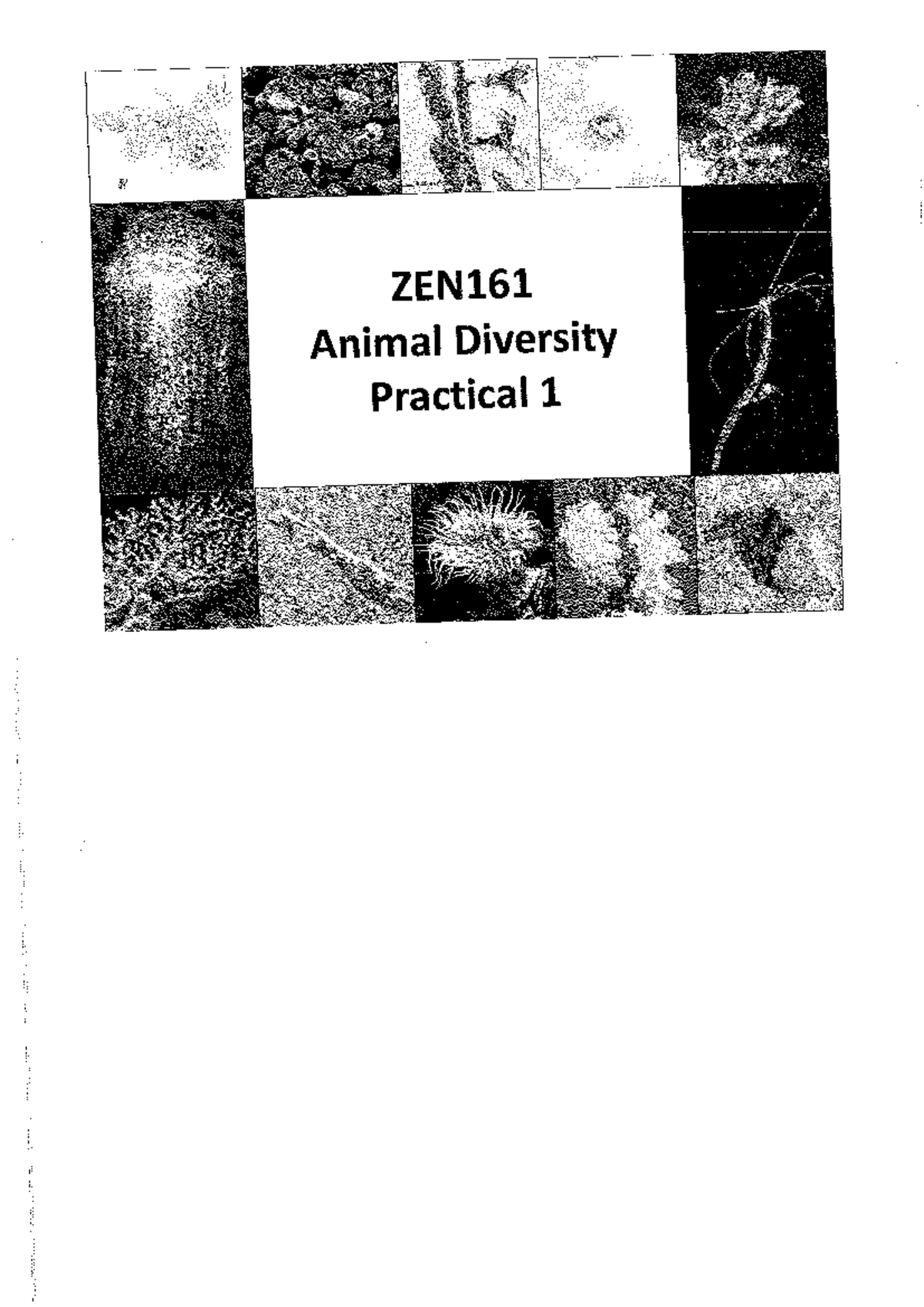 20240701081906631 - Practical notes - ZEN161 - ZEN161 Animal Diversity ...