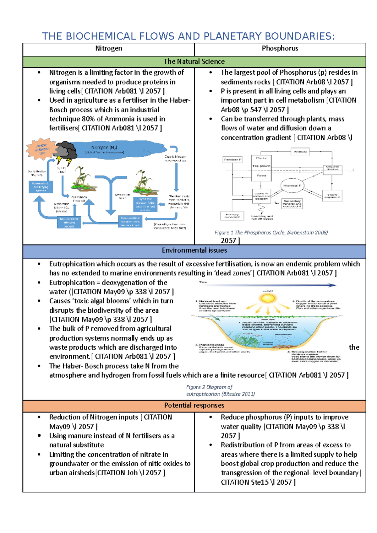The Nitrogen and Phosphorus Cycle - THE BIOCHEMICAL FLOWS AND PLANETARY ...