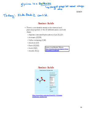 Lysine p I Example - Prof. Porter - Name ...